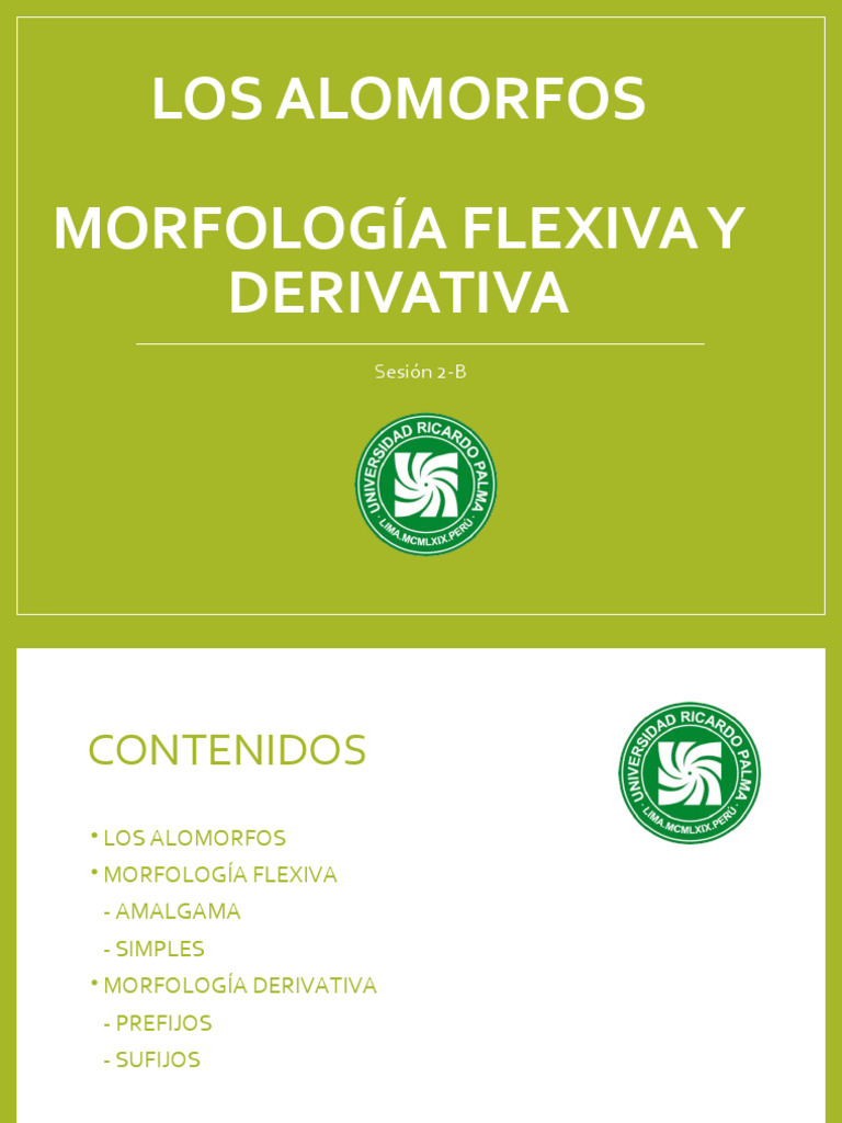 Sesion 2B Morfemas Base, Derivativos, Flexivos | PDF | Morfología ...