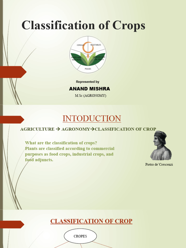 Classification of Crops | PDF