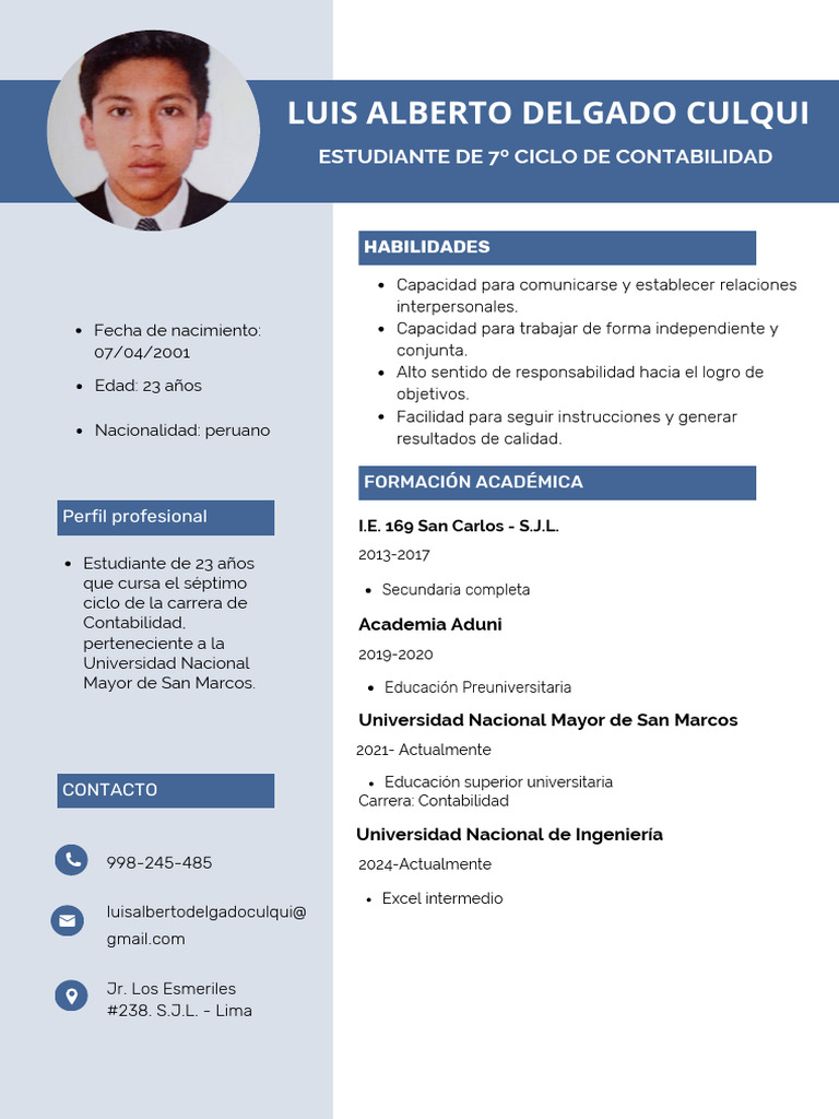 CV Luis Delgado | PDF