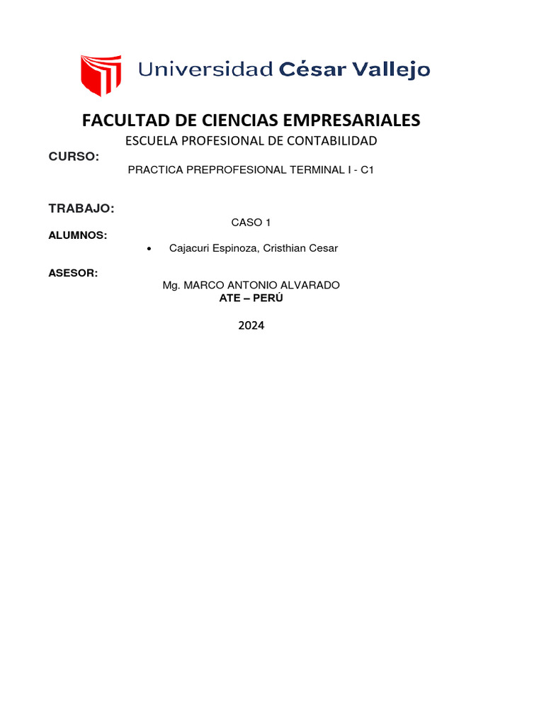 Práctica Preprofesional en Contabilidad | PDF