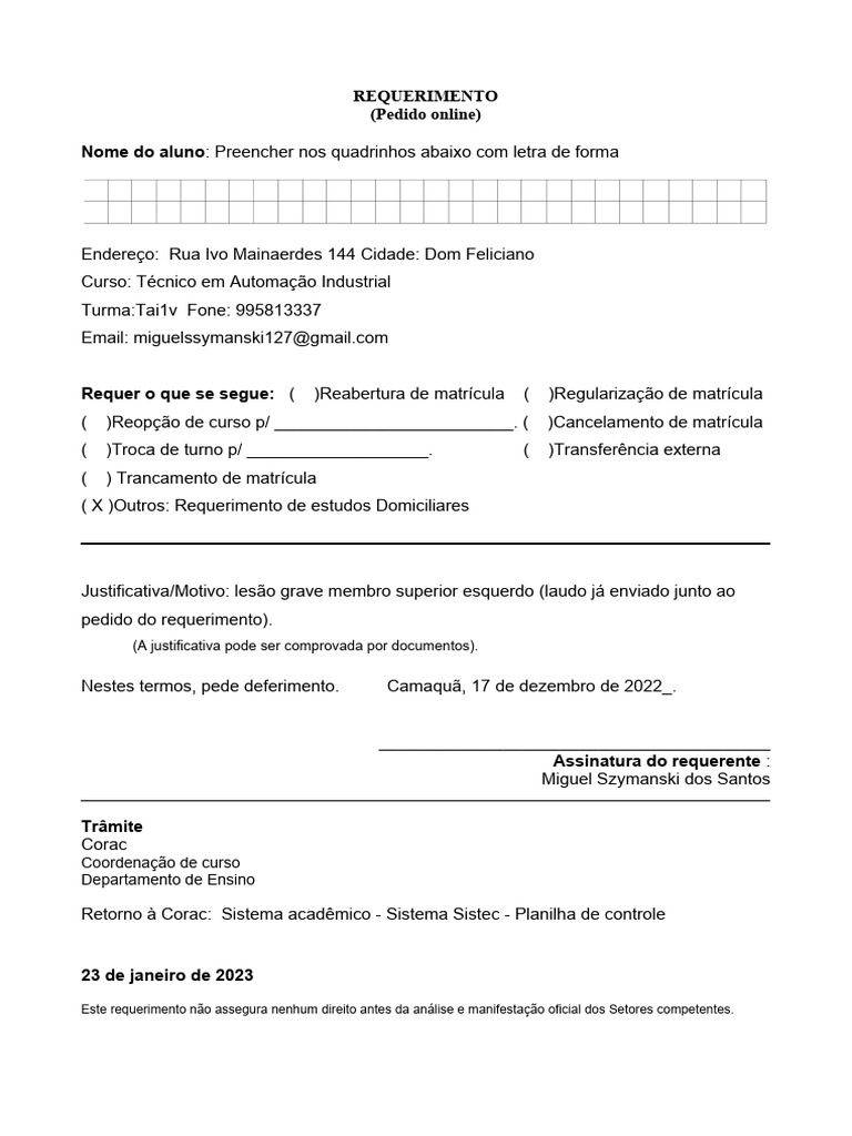 Requerimento online - Modelo Geral - versão 2021 | PDF