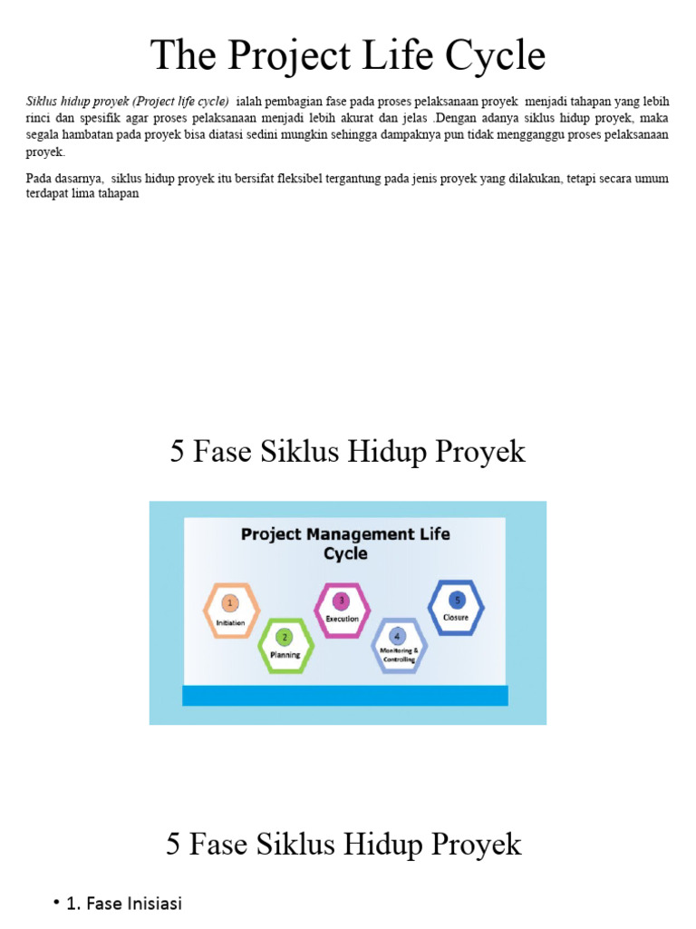 The Project Life Cycle | PDF