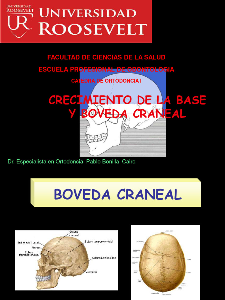 Clase 3 Crec Boveda | PDF | Cráneo | Hueso