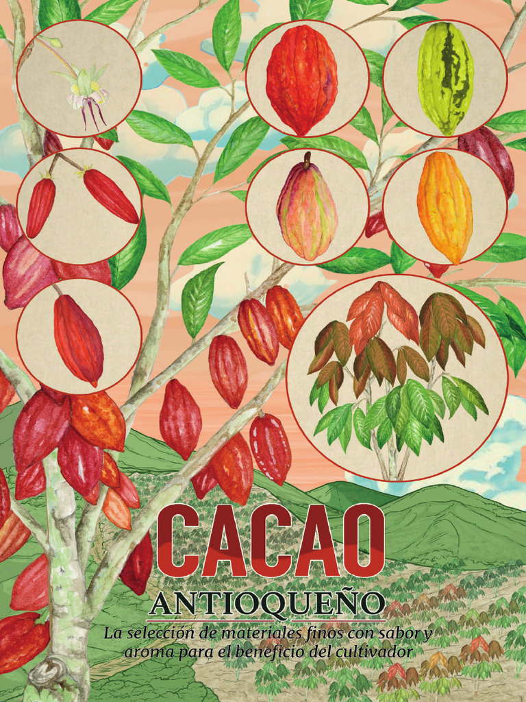 CE+Cartilla+Cacao+VFinal Compressed | PDF | Suelo | Hongo