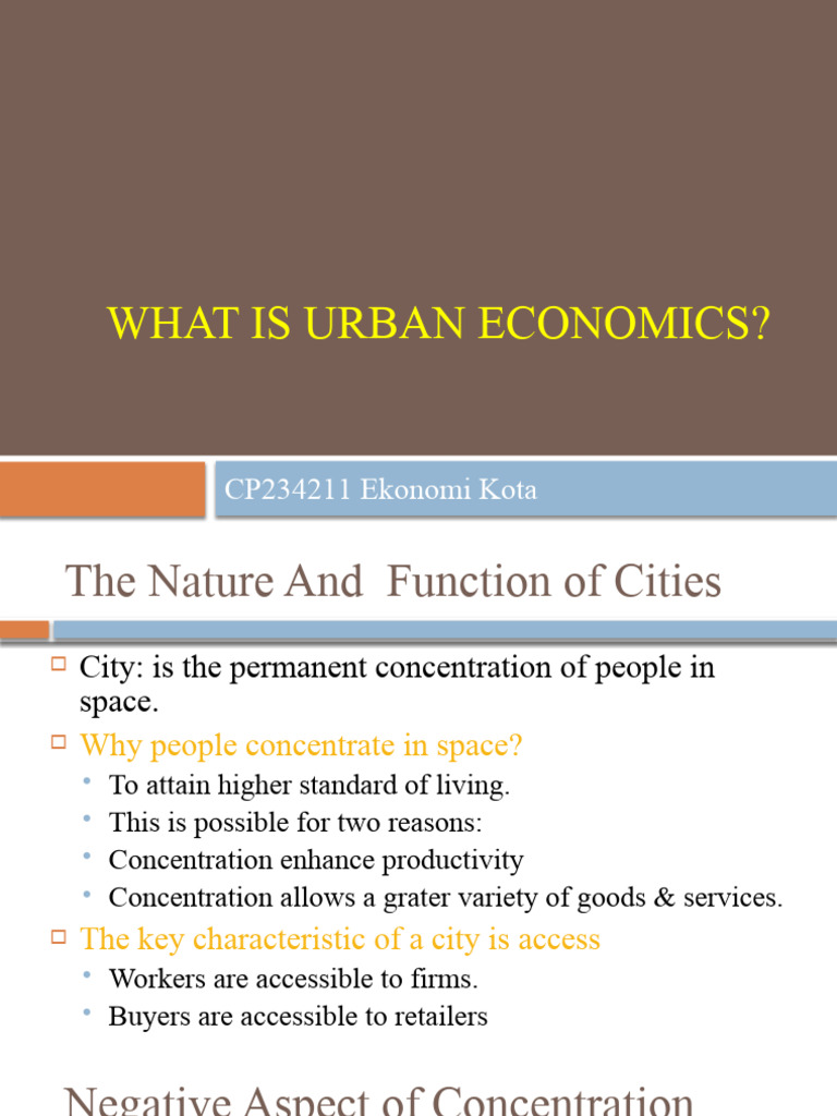 Understanding Urban Economics Basics | PDF | Transport | Economics
