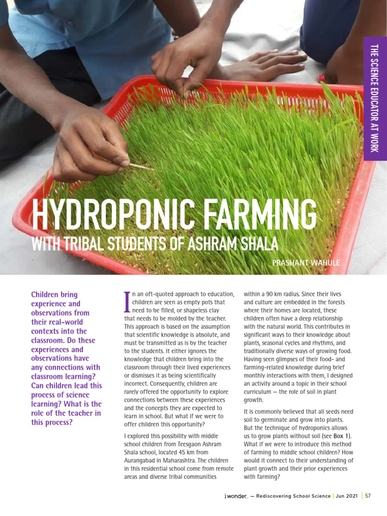 Article 10 Hydroponics (Activity Sheet) | PDF | Hydroponics | Seed