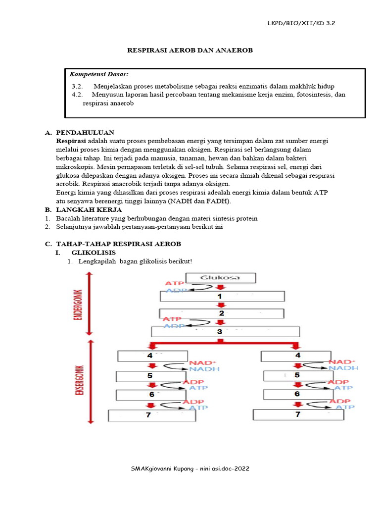 LKPD 02 Respirasi Aerob Dan Anaerob | PDF