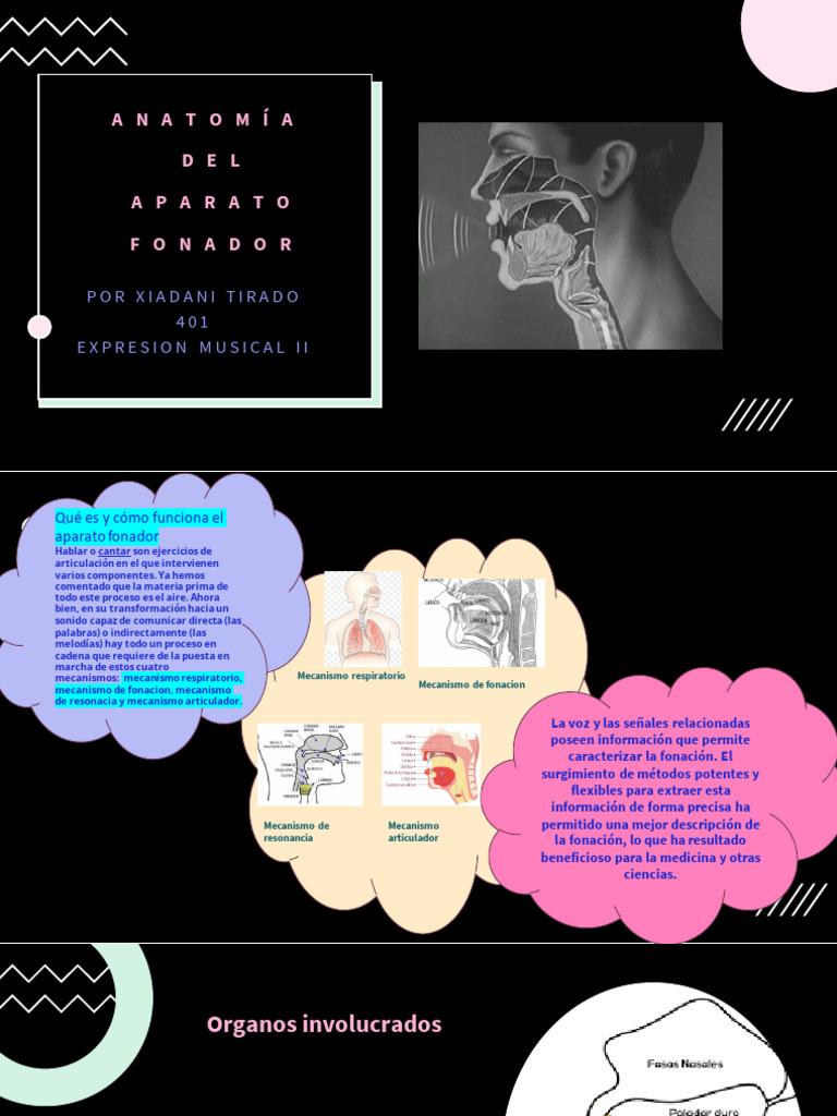 Anatomia Del Aparato Fonador 1 | PDF | Fonética | Producción de sonido