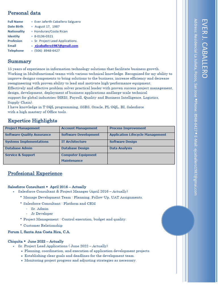 CV Ever Caballero En | PDF | Software Development | Implementation