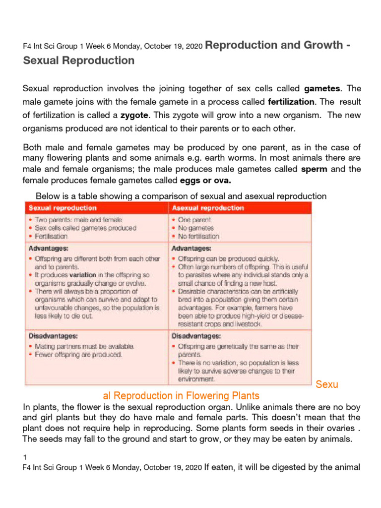 Reproduction - Sexual reproduction in flowering plants | PDF | Sexual ...