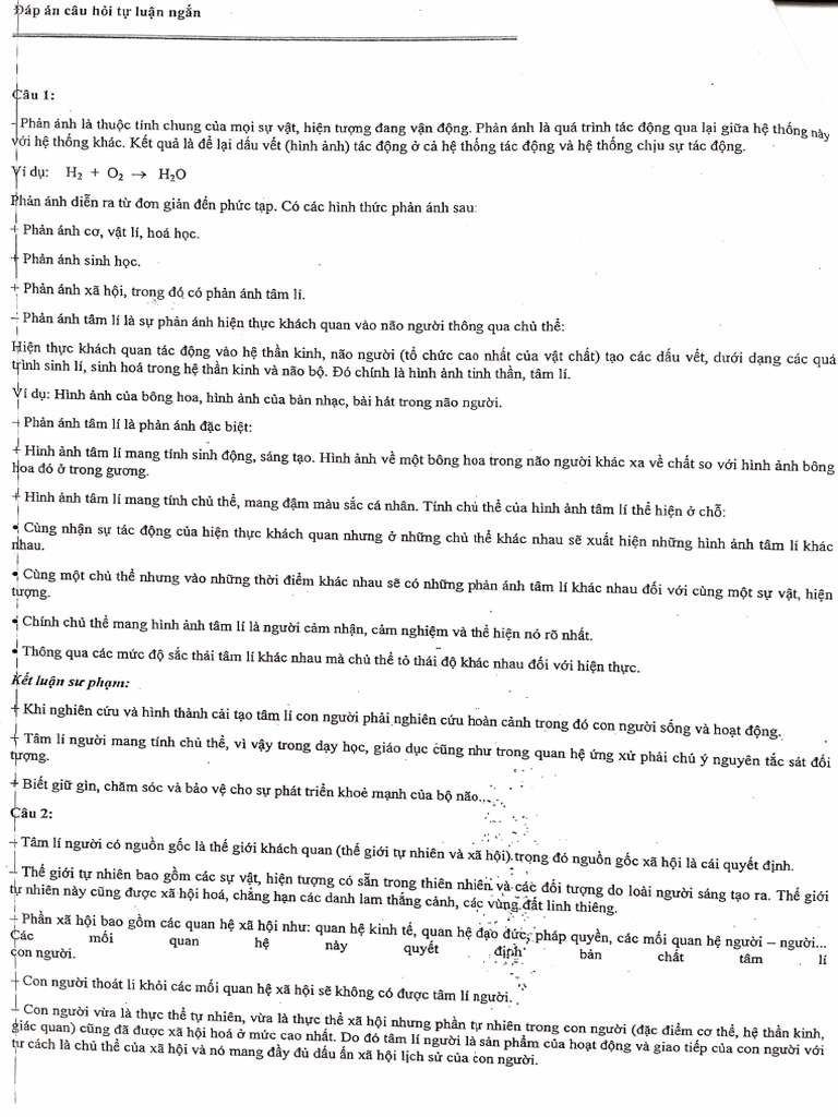 TLH Câu hỏi tự luận-4 | PDF