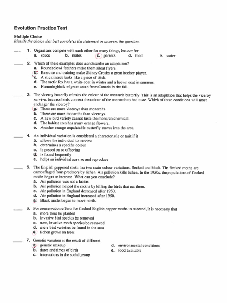 Evolution Practice Test Answers | PDF