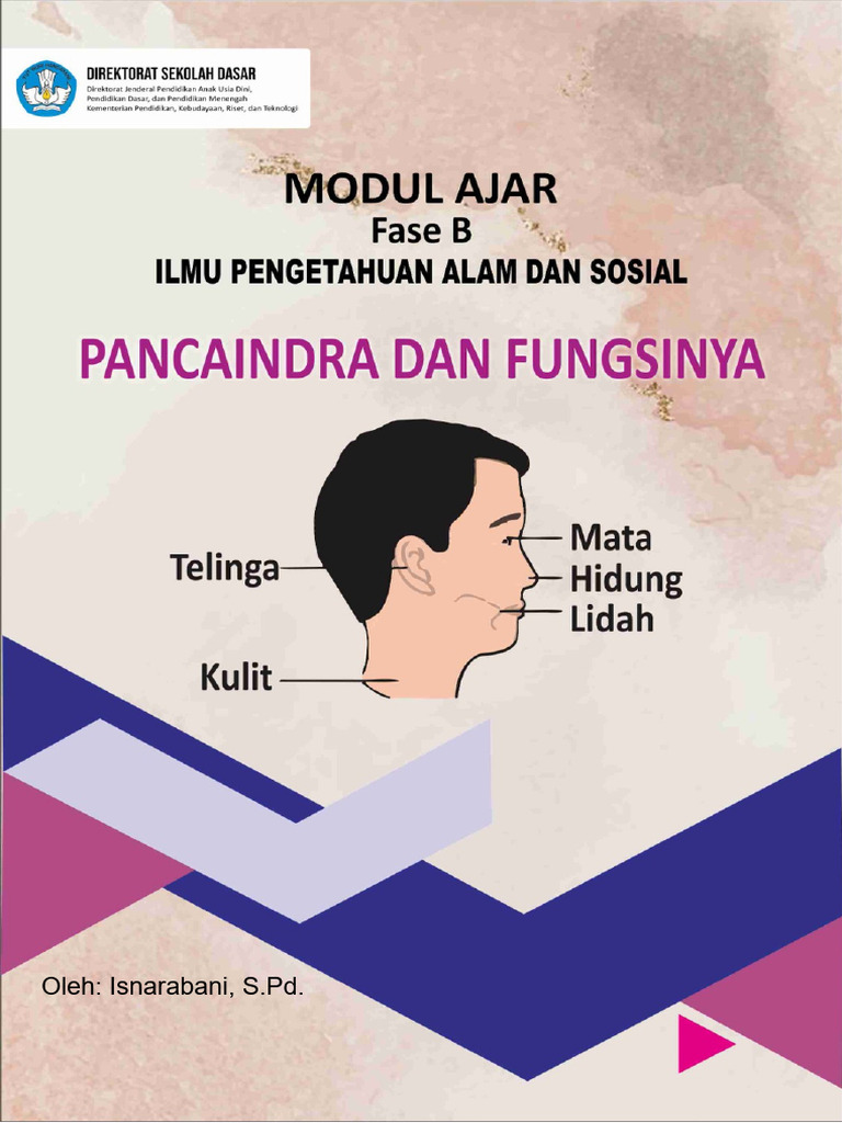 Modul Ajar Ilmu Pengetahuan Alam Dan Sosial (IPAS) - Pancaindra Dan Fungsinya - Fase B | PDF ...