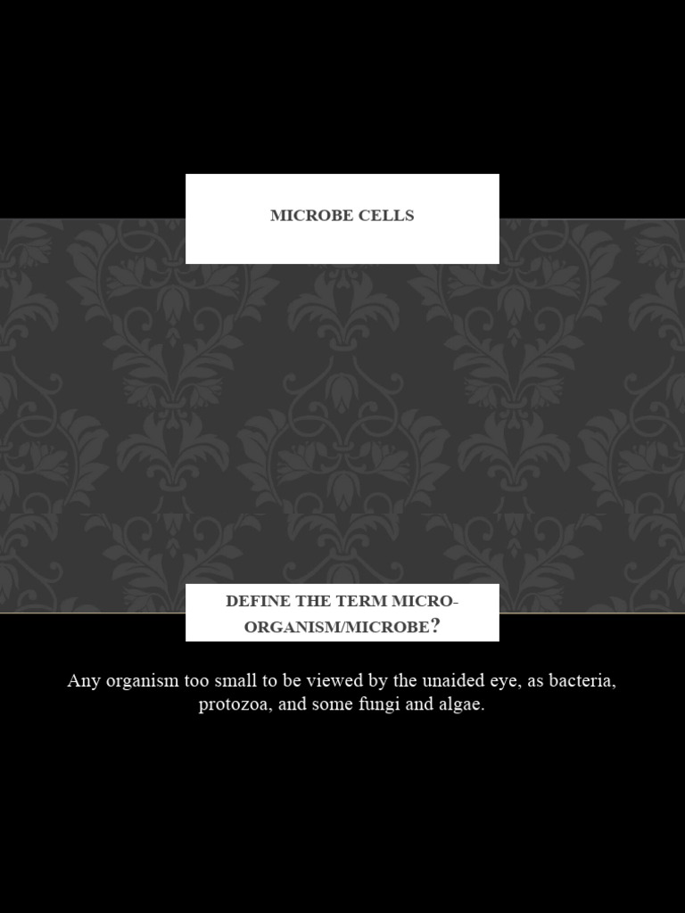 Microbe Cells | Download Free PDF | Cell (Biology) | Bacteria