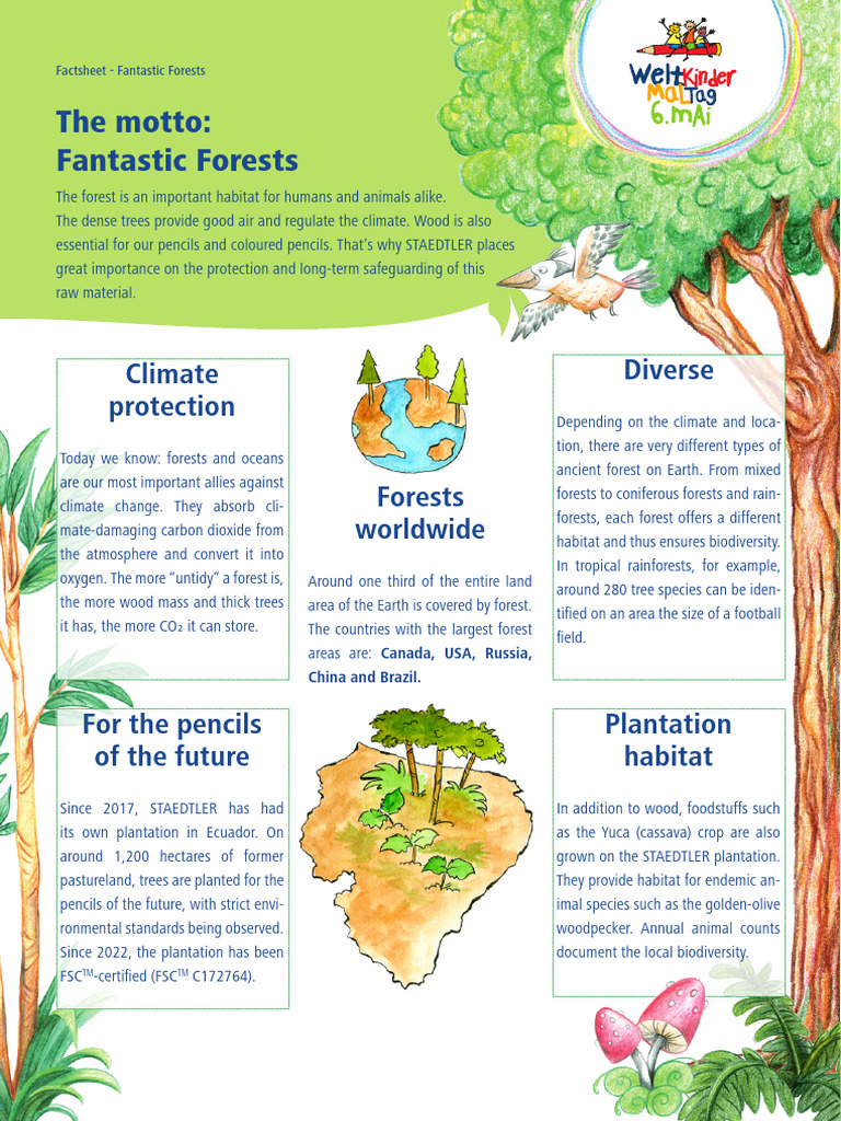 WKCD-2024 Factsheet GB STAEDTLER.1707829929 | PDF | Forests | Forest ...
