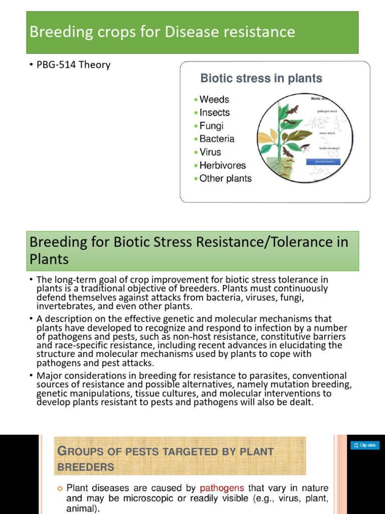 Lecture; Breeding for biotic resistance - Disease Resistance | PDF ...