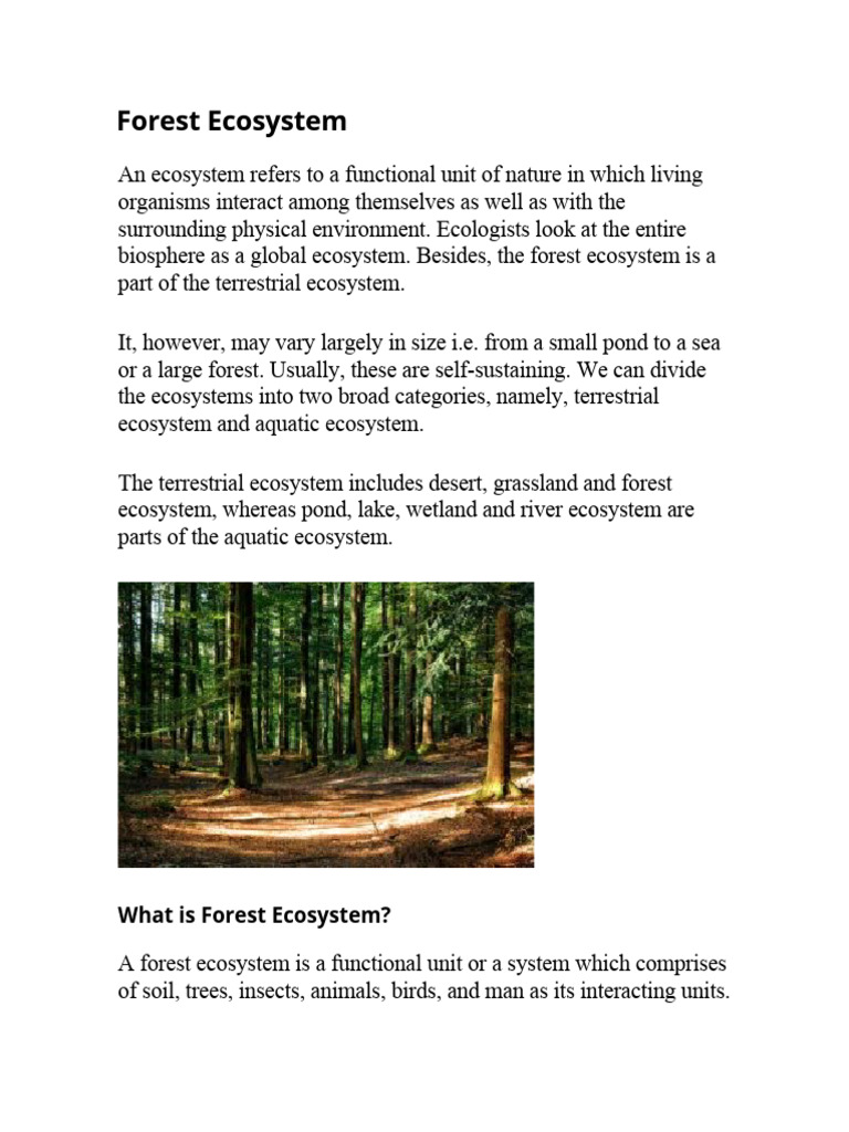 Forest Ecosystem Pdf Ecosystem Primary Production