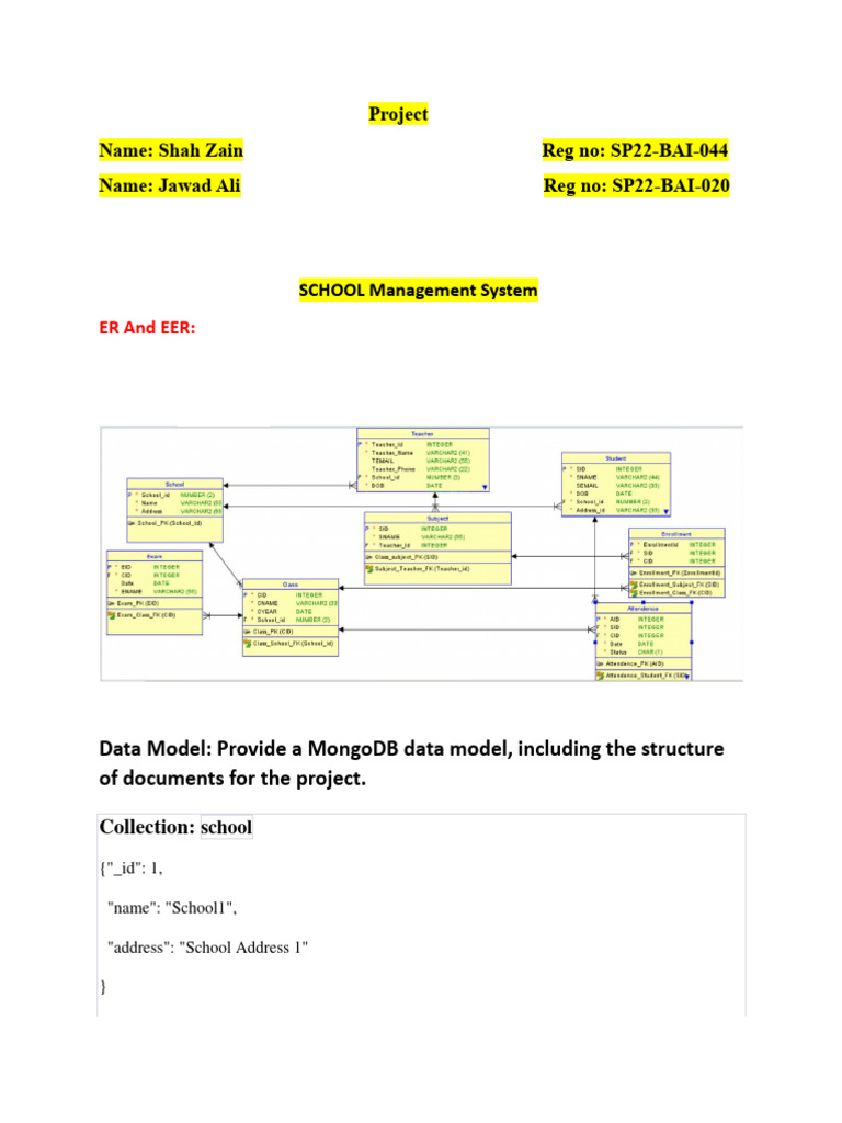 shah-project | PDF | Data Management | Data Management Software