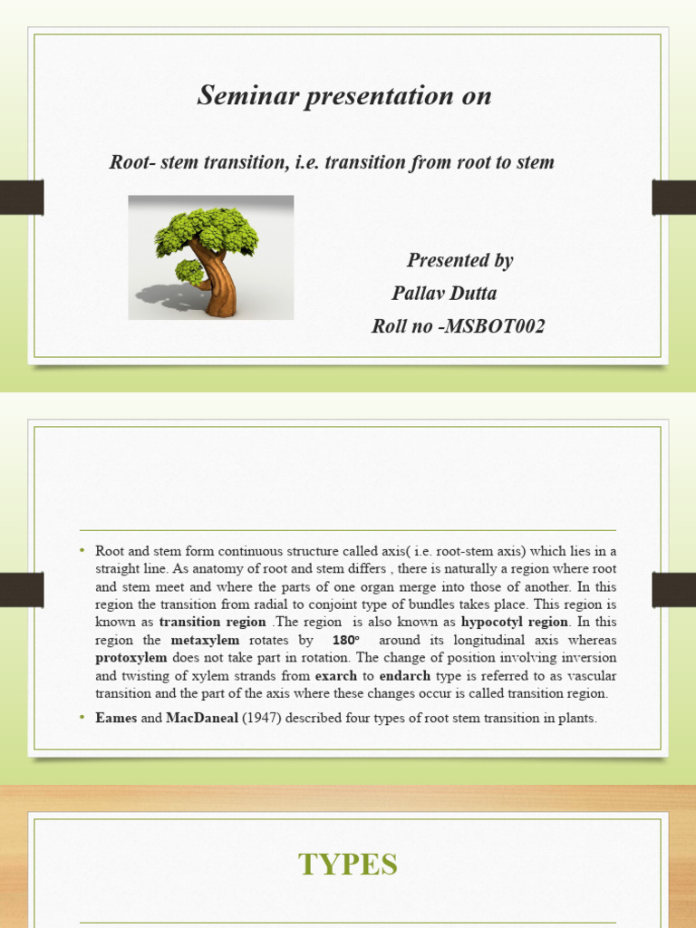 Root-Stem Transition Types in Plants | PDF | Plant Stem | Root