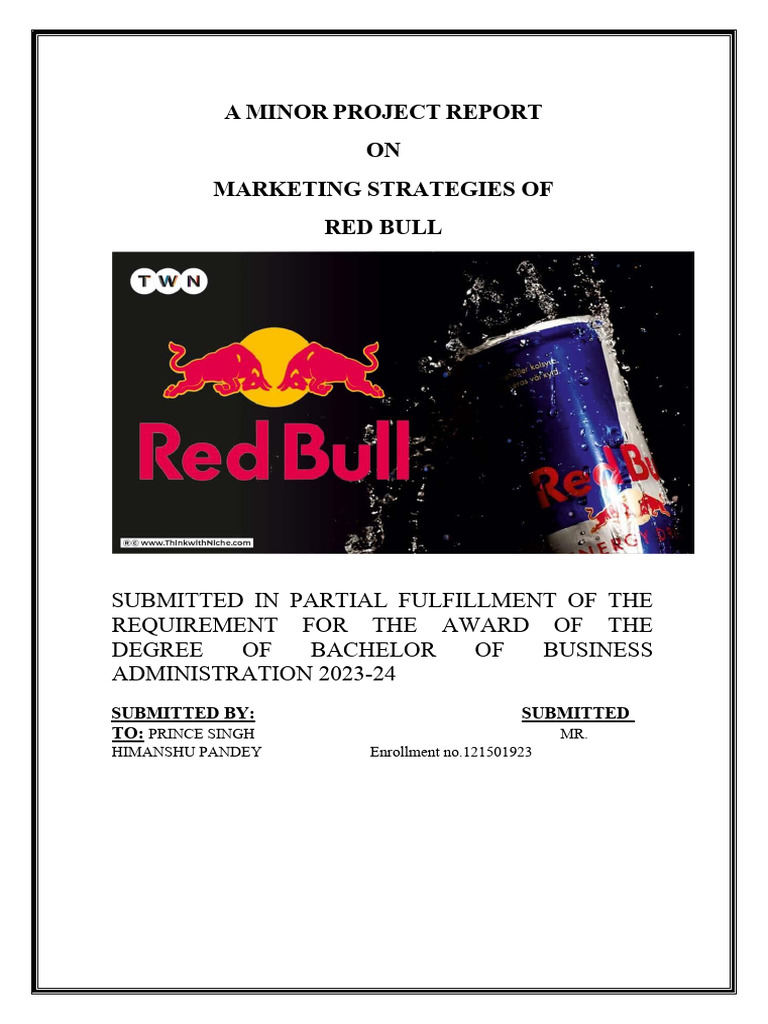 Minor Project | PDF | Pricing | Brand