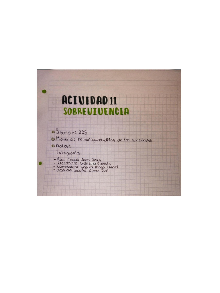 d08 t11 Equipo 06 | PDF