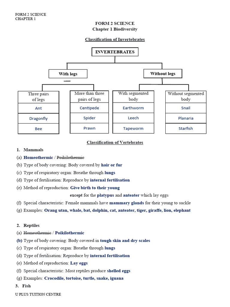 Classification of Invertebrates and Vertebrates (With Answer) | PDF ...