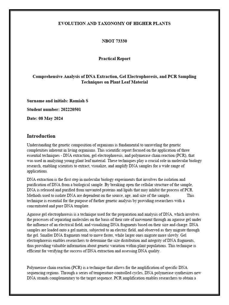 Practical Report 1 - DNA Extraction, Electrophoresis, PCR | PDF | Gel Electrophoresis ...