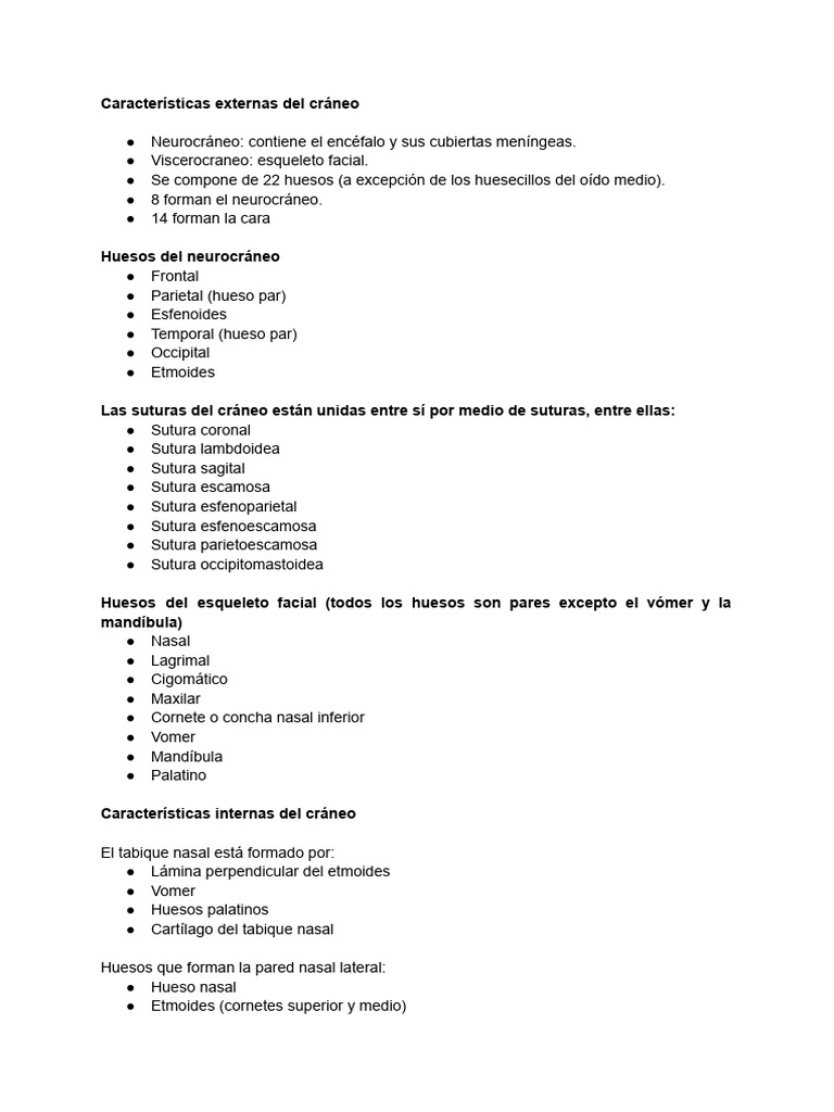 Apuntes Anatomia De Craneo Pdf Cráneo Cabeza Y Cuello Humanos