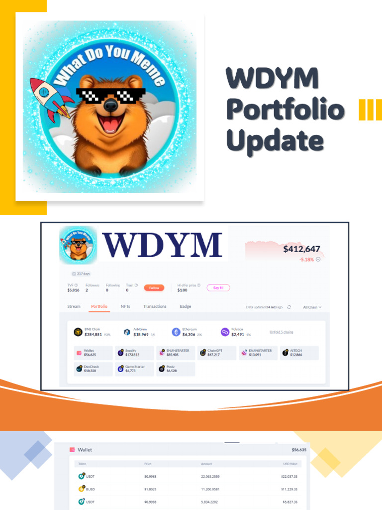 WDYM Portfolio Jan 12 2024 | PDF | Multimedia | New Media