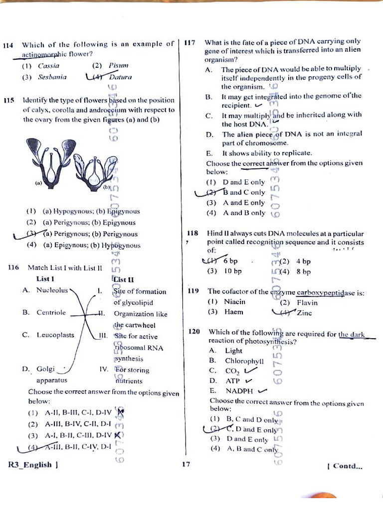 Neet Question Paper 2024 Set 1 | PDF