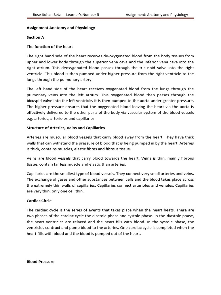 Assignment Anatomy and Physiology New | Download Free PDF | Artery | Heart