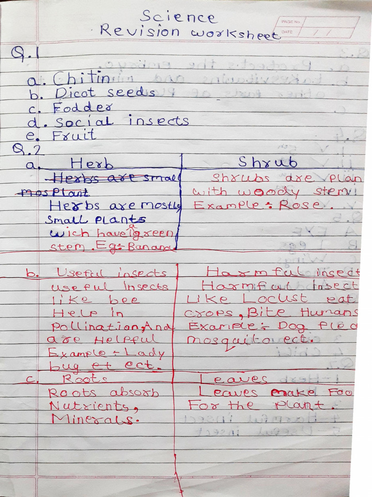 Vijayshree - 3C - Science 1 | PDF
