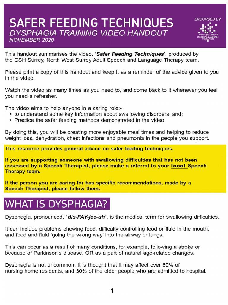 Safer Feeding Techniques Handout | PDF