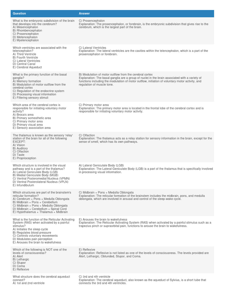 Practice Exam Spinal Cord - Roch Notes | PDF | Cerebrum | Spinal Cord