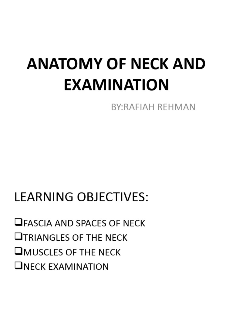 Anatomy Of Neck And Examination Pdf Neck Common Carotid Artery