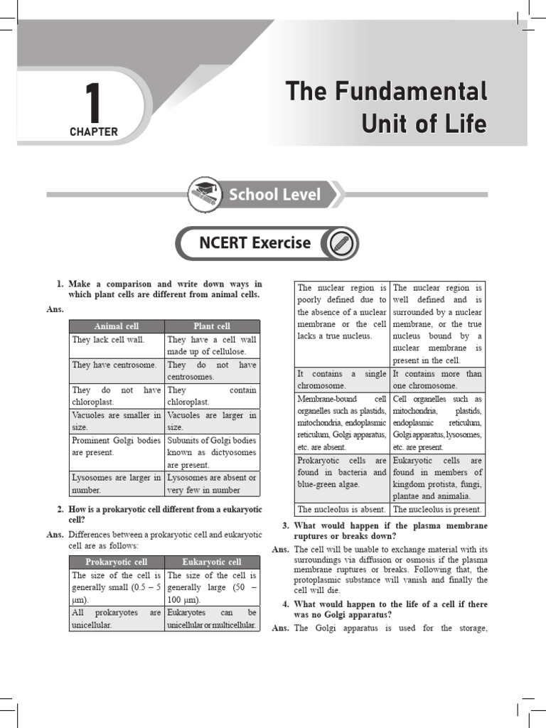 The Fundamental Unit of Life | PDF | Cell (Biology) | Eukaryotes