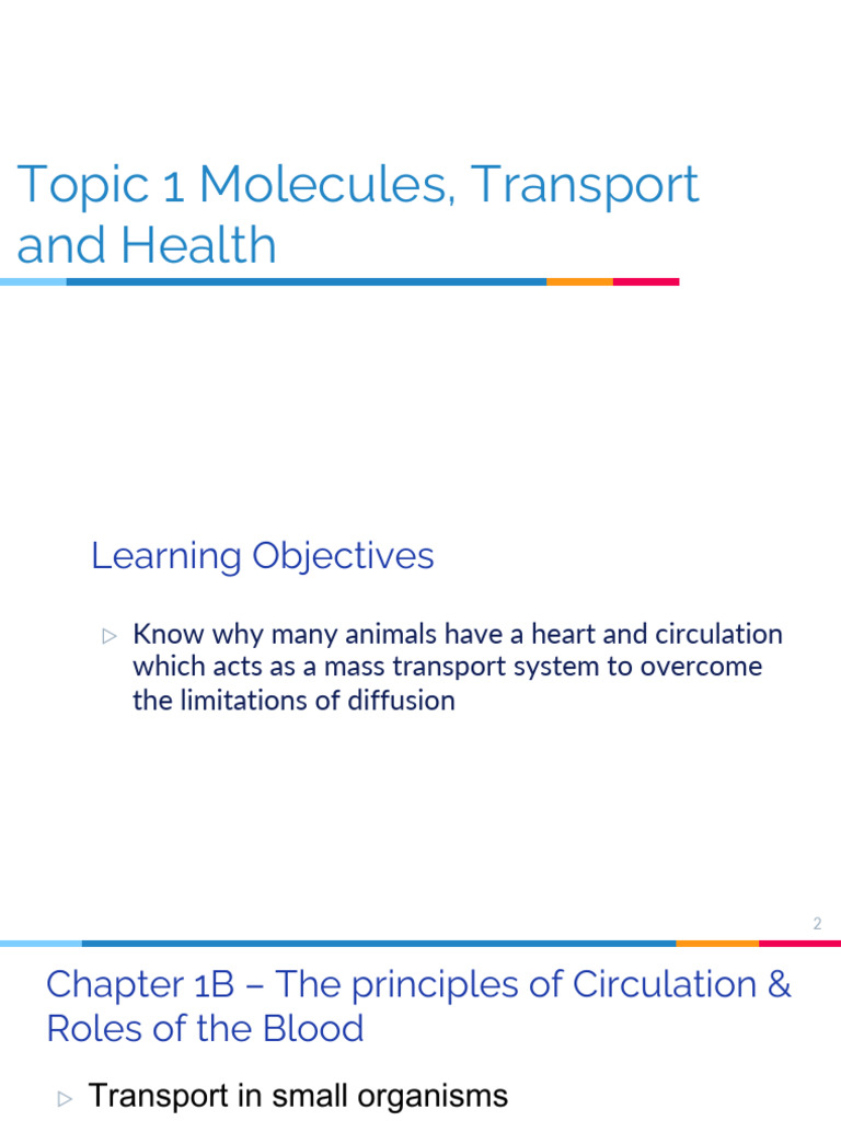 1B.1 The Principles of Circulation | PDF | Blood | Red Blood Cell