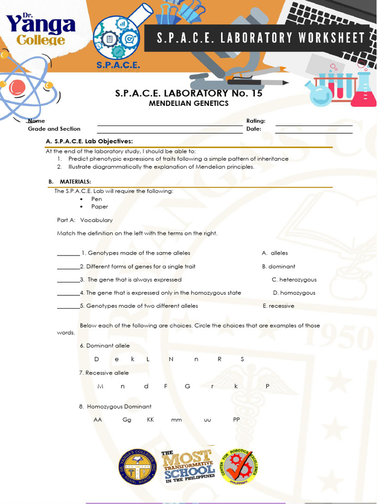 Mendelian Genetics Lab Activities | PDF | Dominance (Genetics) | Genotype