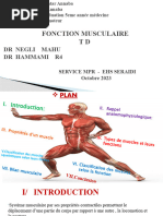 Testing Musculaire : Évaluation et Méthodes | PDF | Jambe humaine | Genou