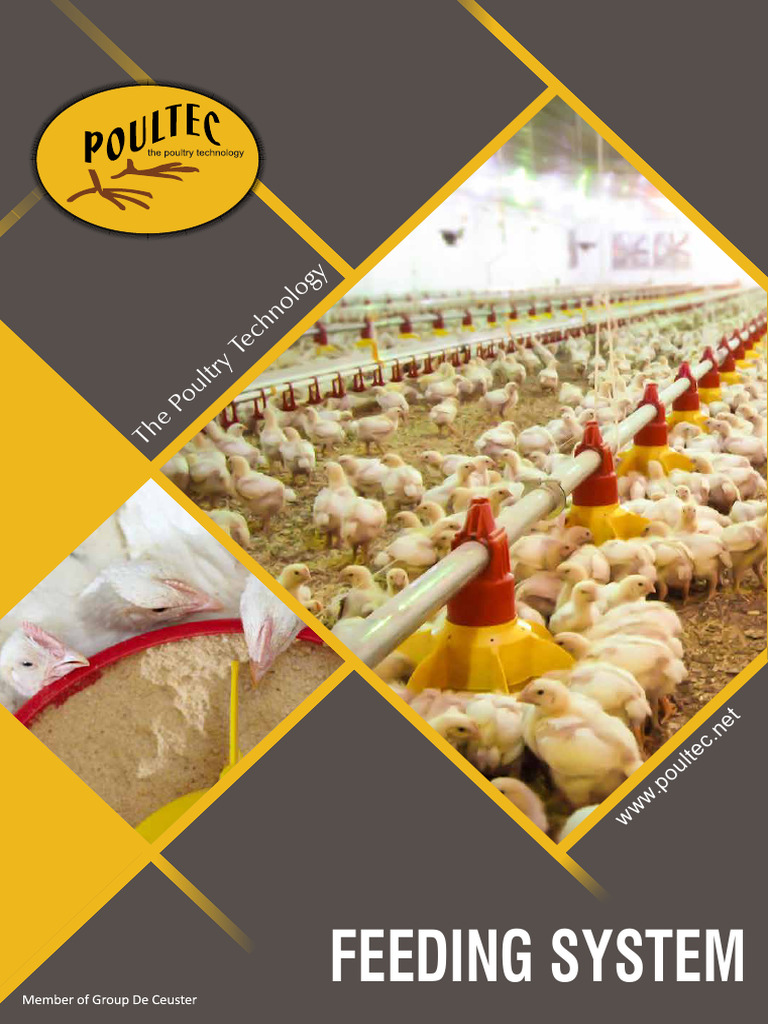 Poultec Poultry Feeding Systems Overview | PDF | Poultry Farming | Broiler