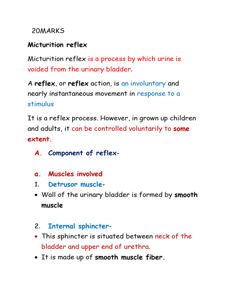 Physiology Notes Micturation Reflex 20 Mark | Download Free PDF ...