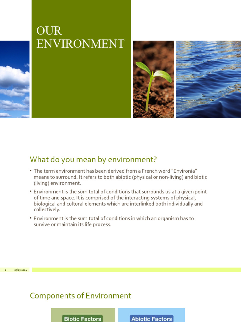 Our Environment | Download Free PDF | Chlorofluorocarbon | Ozone Depletion