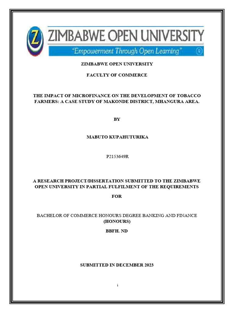 Mabuto Final Project Document For Submission | PDF | Microfinance | Poverty