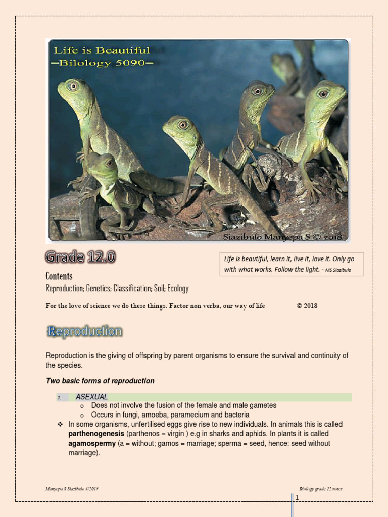 Biology 12 Notes | PDF | Dominance (Genetics) | Flowers