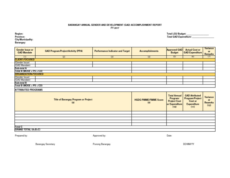 Barangay GAD Accomplishment Report 2017 | PDF