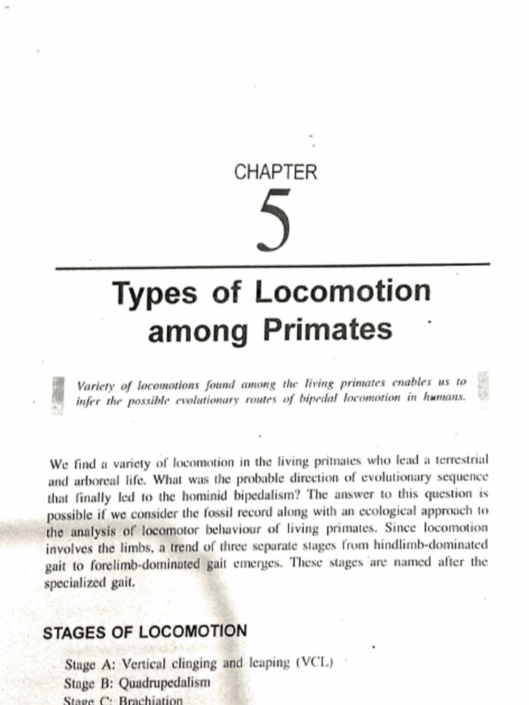 Types of Locomotion Among Primates | PDF