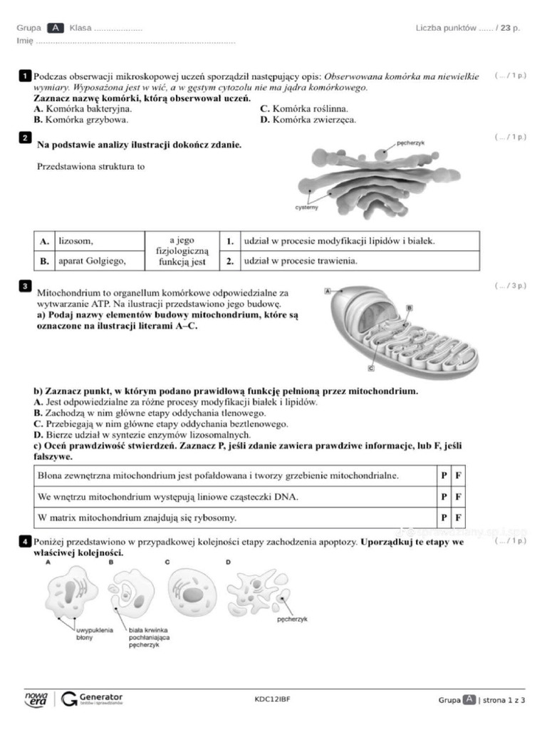 Biologia Sprawdzian Dzial II Klasa I | PDF