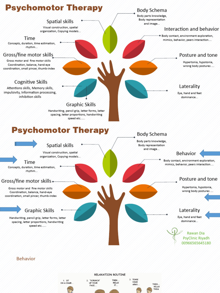 Hand-Tree-Diagram-PMT | PDF | Neuroscience | Nervous System