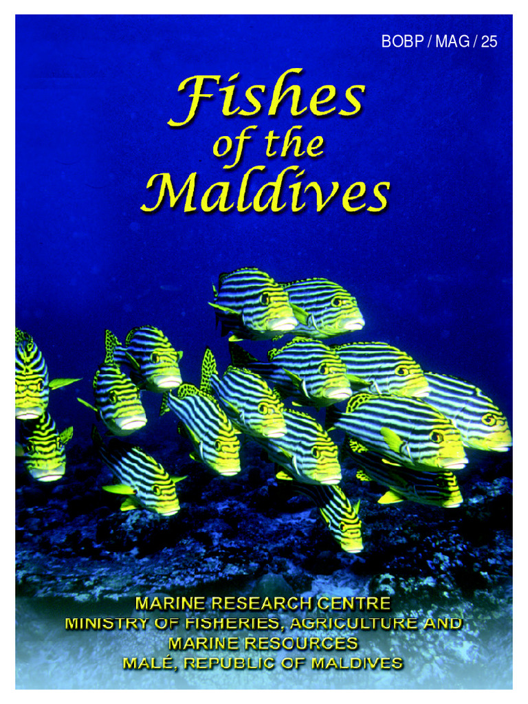 Comprehensive Guide to Maldives Fishes | PDF | Sharks | Fish