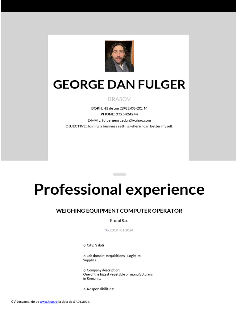 CV Fulger George Dan 27-01-2024 | PDF | Internet | Information Technology